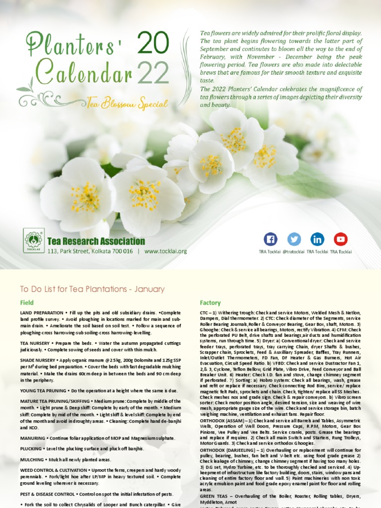 TRA Planters Calendar 22 | PDF | Tea | Herbicide