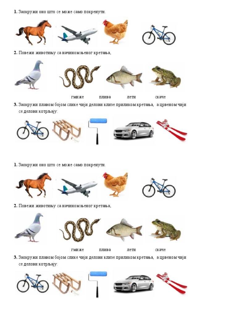 Kretanje Nastavni Listic | PDF