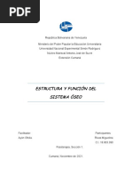Términos de Lateralidad en Anatomía | PDF | Términos anatómicos de ...