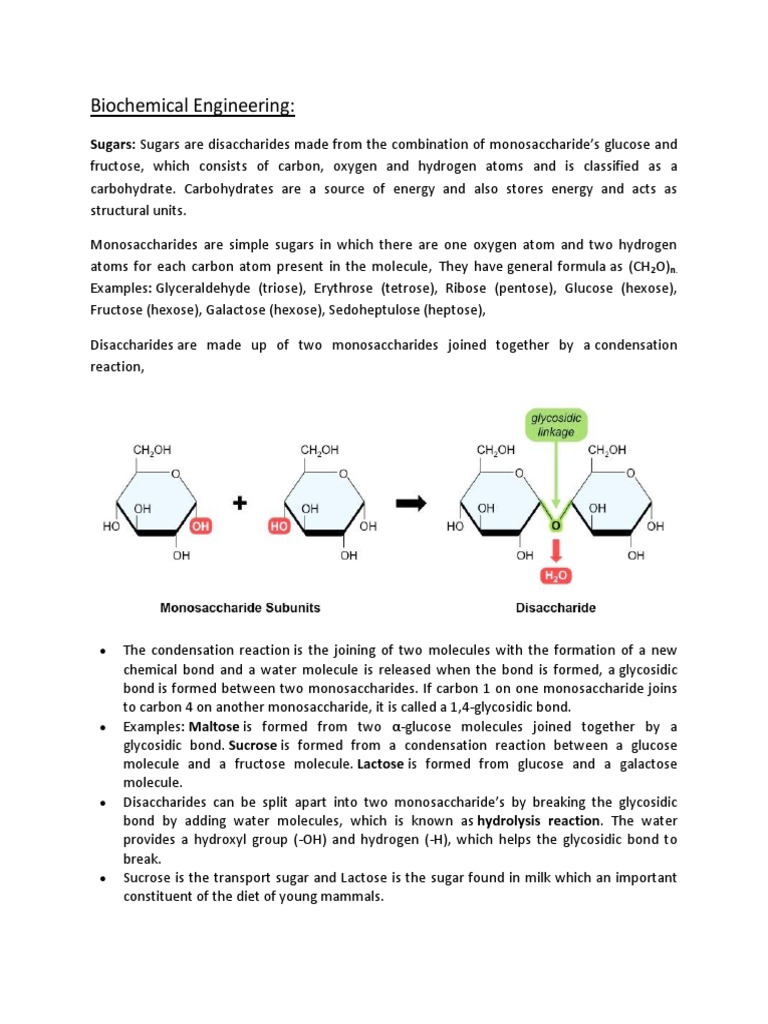 Biochemical Engineering Class 5 | PDF | Carbohydrates | Polysaccharide