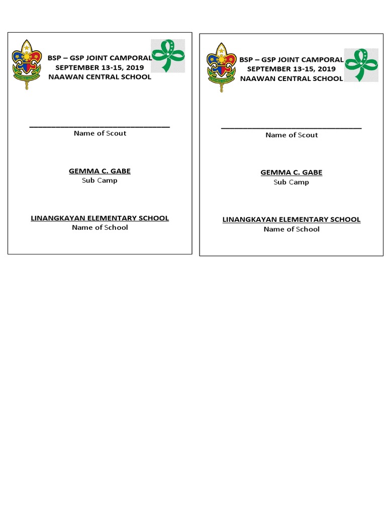 BSP Boy Scout Activity Card | PDF