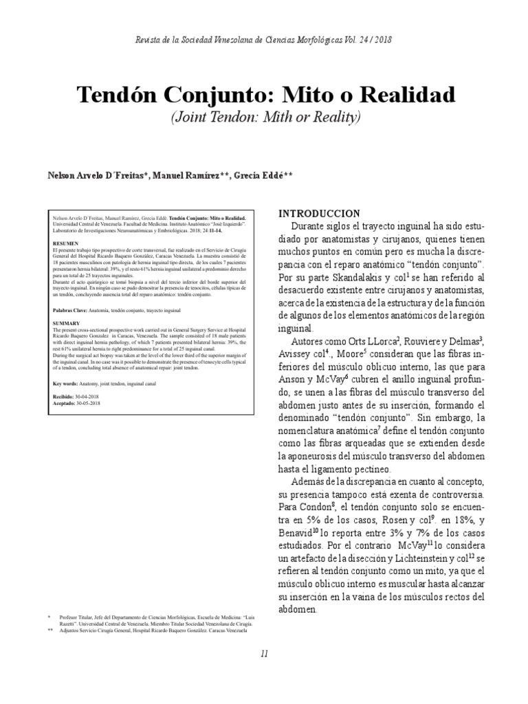 Tendon Conjunto Mito o Realidad | PDF | Cirugía | Abdomen
