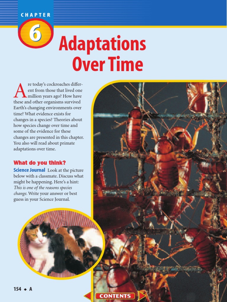 Evolution and Adaptations Over Time | PDF | Natural Selection | Evolution