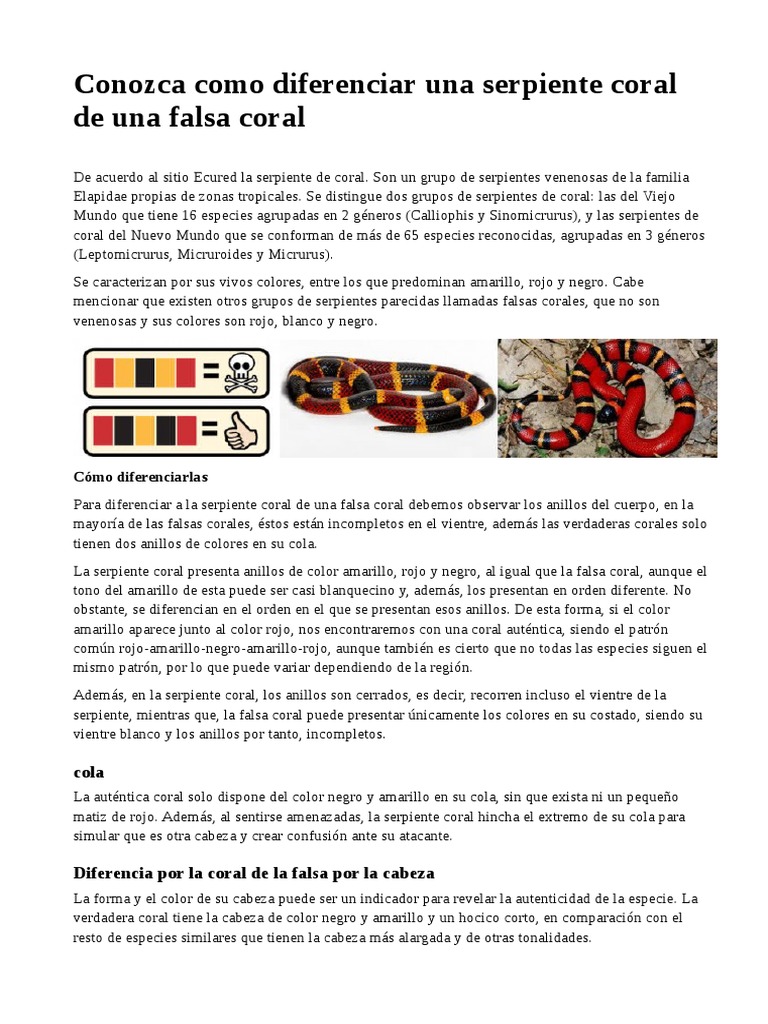 Conozca Como Diferenciar Una Serpiente Coral de Una Falsa Coral | PDF ...