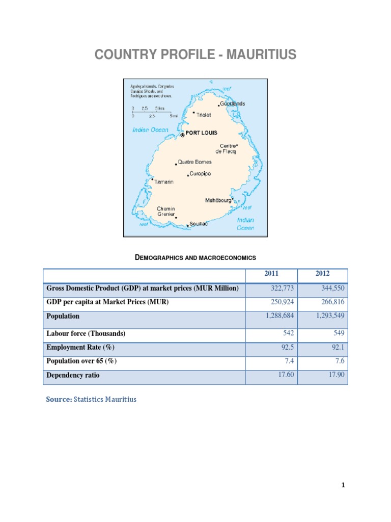 Mauritius Pension System Profile | PDF | Pension | Defined Benefit ...