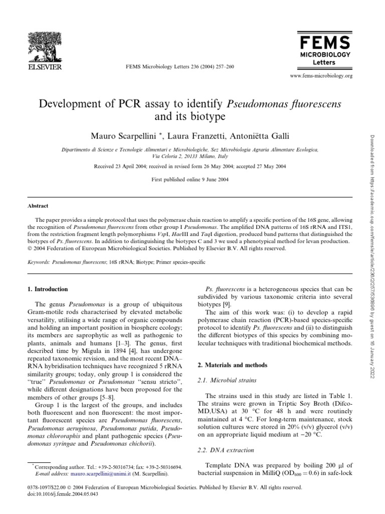 Development of PCR Assay To Identify Pseudomonas Uorescens and Its ...