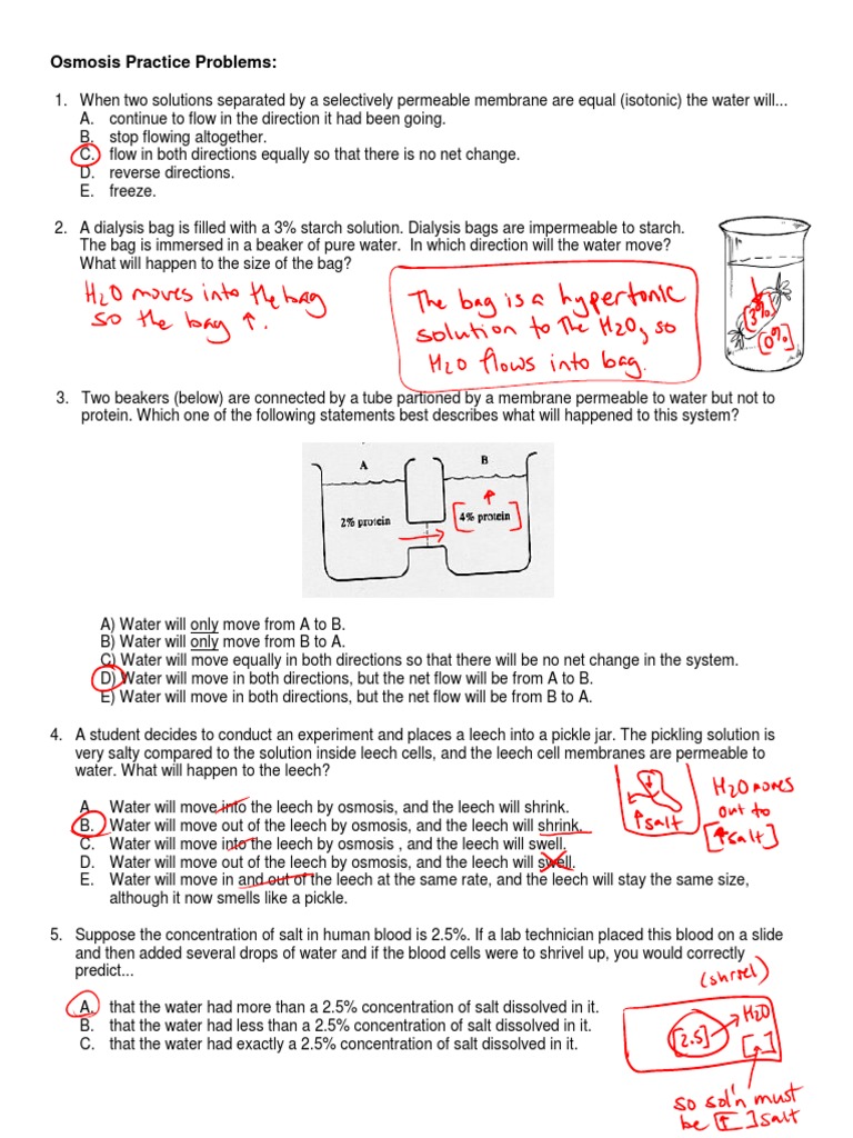Osmosis Practice Problems | PDF | Osmosis | Chemistry