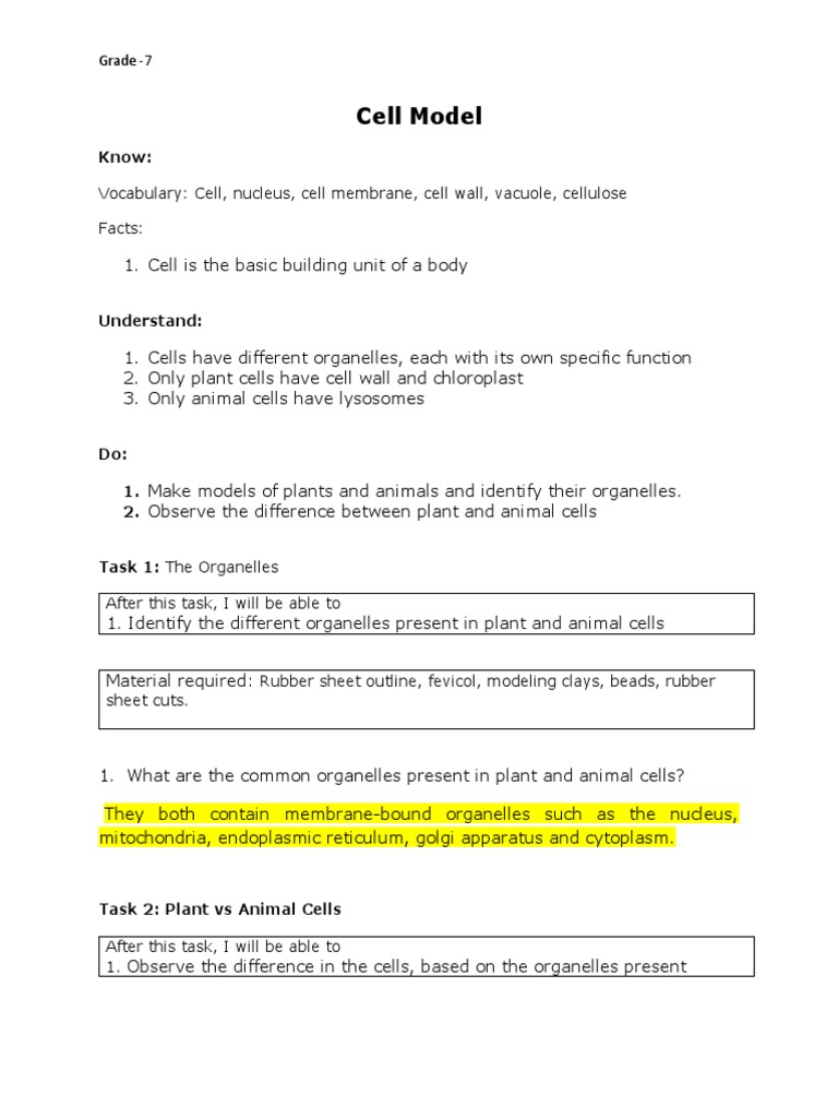 7 - Cell Model | PDF | Cell (Biology) | Eukaryotes