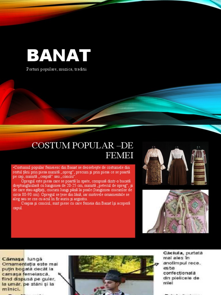 Proiect Geogra Banat | PDF