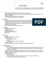 2) Clasificacion Esofagitis | PDF | La enfermedad por reflujo ...