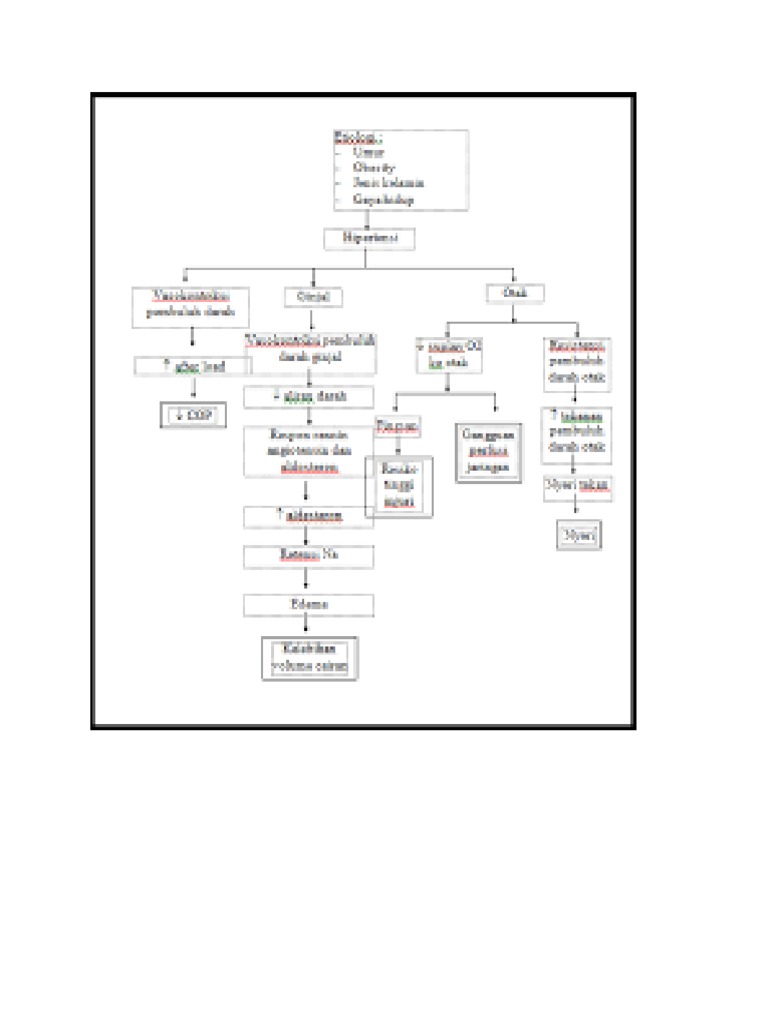 Pathway Hipertensi | PDF