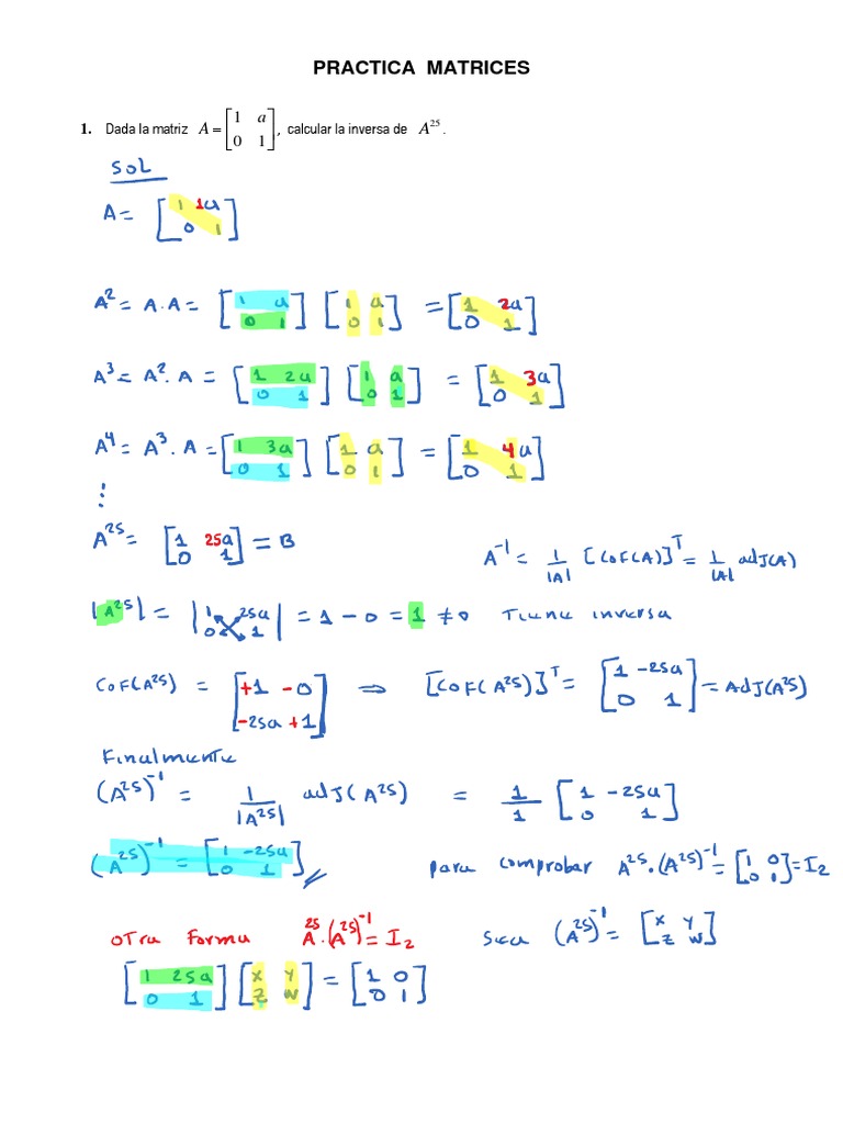 Ejercicios RESUELTOS de Matrices | PDF | Matriz (Matemáticas) | Objetos ...