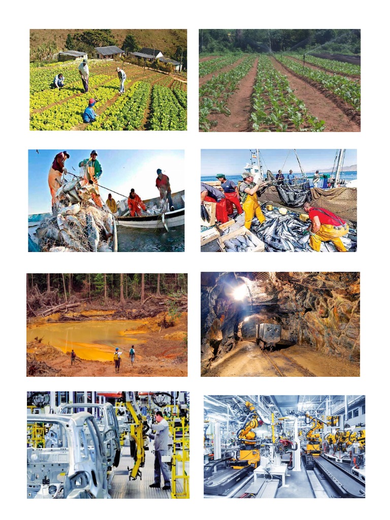 Agricultura Pesca Mineria Industria Pdf