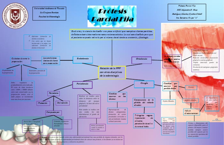 PPF y Ramas de La Odontologia | PDF | Odontología | Dentadura postiza