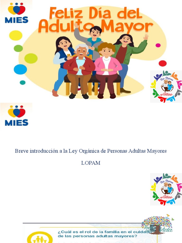 Presentacion Lopam | PDF
