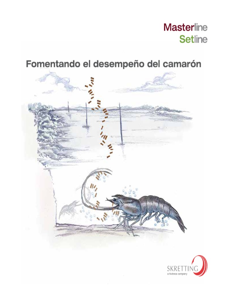 Catalogo Masterline Setline | PDF