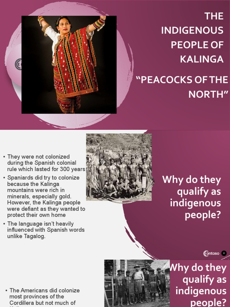 THE Indigenous People of Kalinga "Peacocks of The North" | PDF | Tribe ...