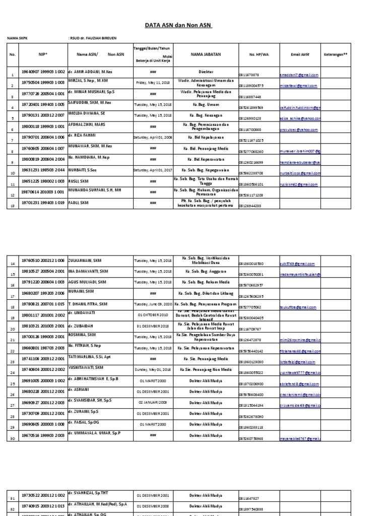 Data ASN dan Non ASN RSUD Bireuen | PDF