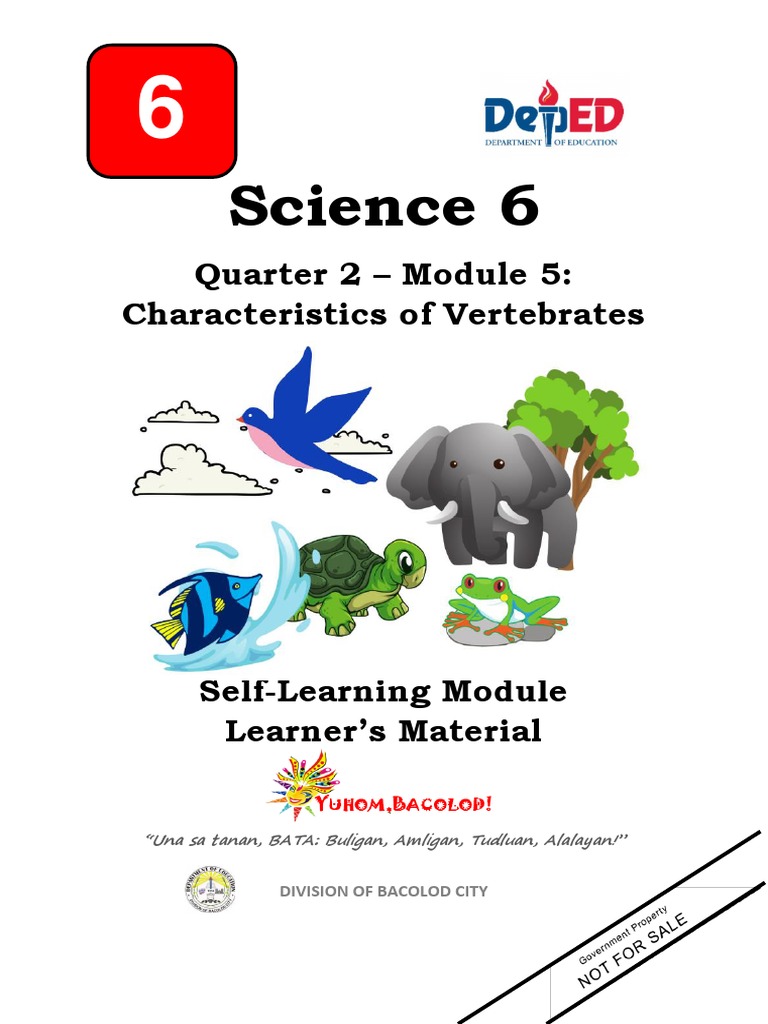 Science 6: Quarter 2 - Module 5: Characteristics of Vertebrates | PDF ...