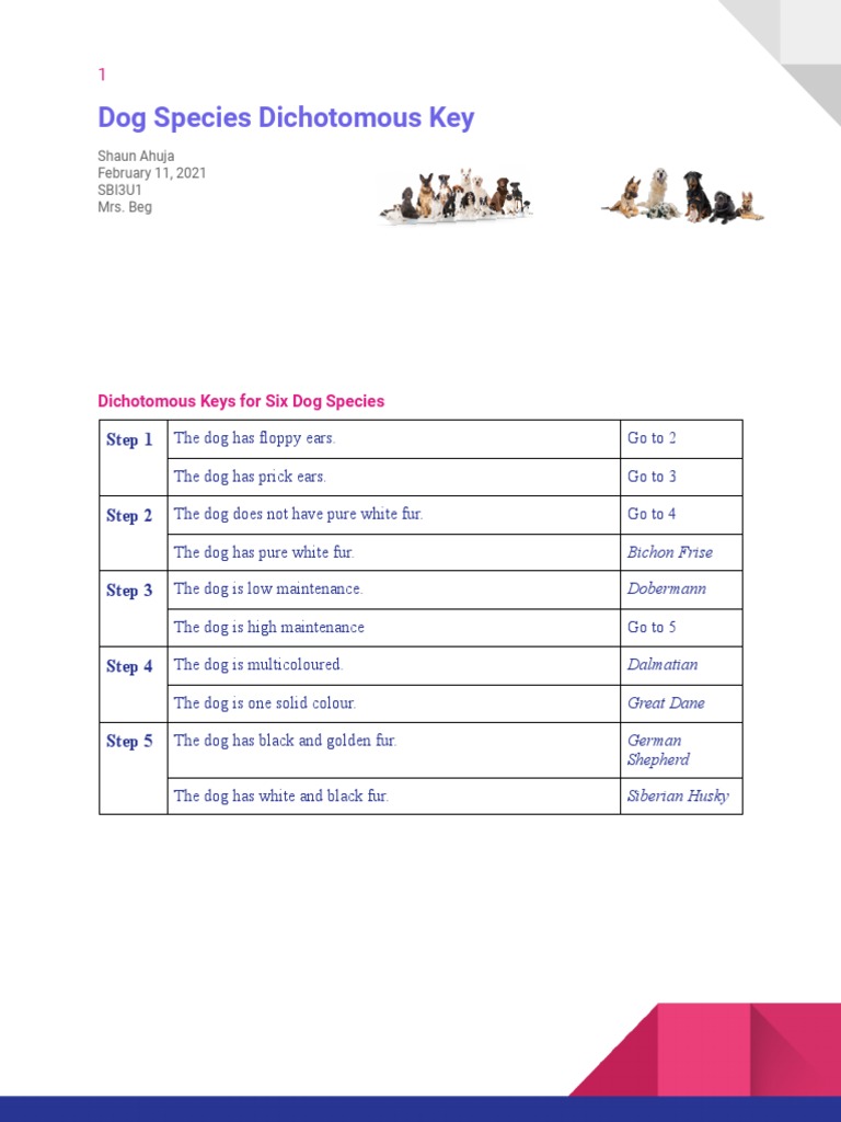 Dichotomous Key Assignment | PDF
