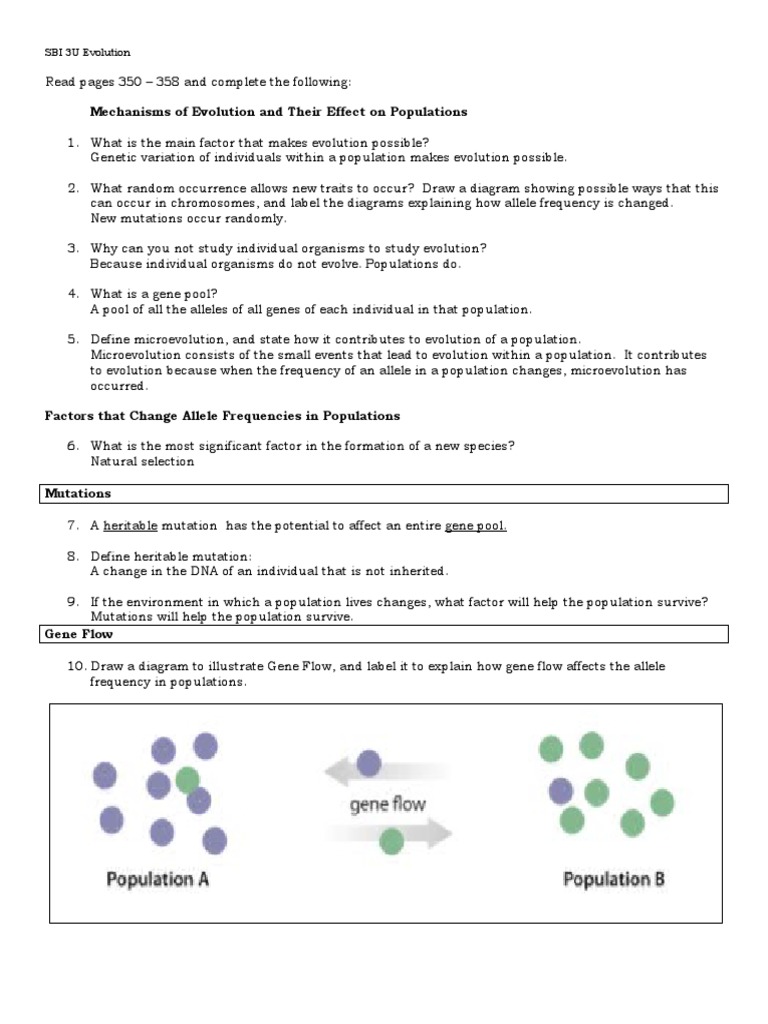 9.1 Mechanisms of Evolution Guided Inquiry | PDF | Evolution | Natural ...