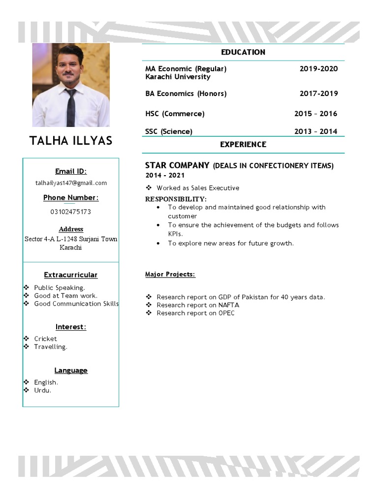 Talha Ilyas CV | PDF