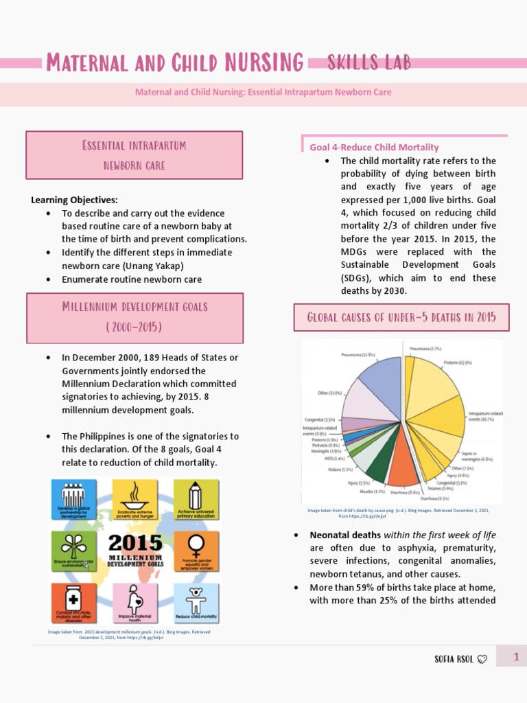 Essential Intrapartum Newborn Care Guide | PDF | Maternal Death ...
