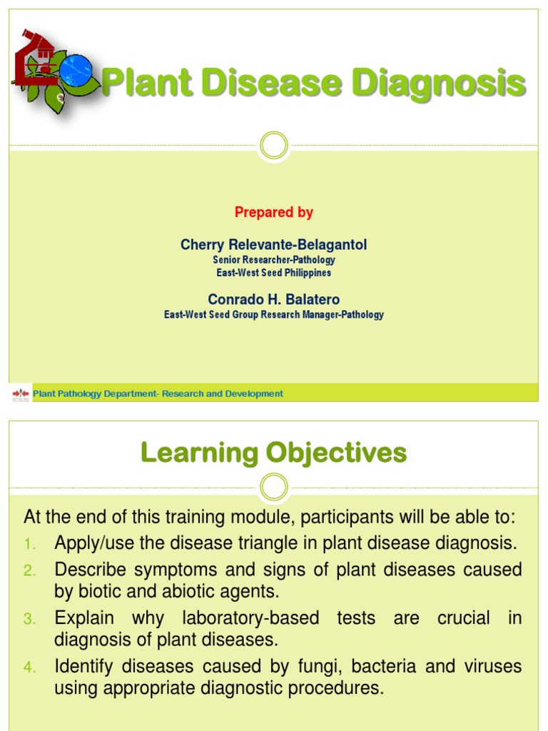 Module 2 Plant Disease Diagnosis 013826 | PDF | Elisa | Plant Pathology