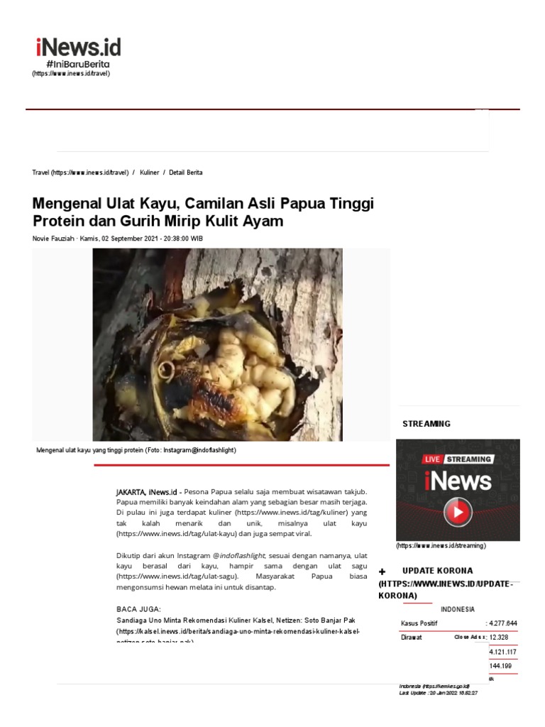 Mengenal Ulat Kayu, Camilan Asli Papua Tinggi Protein Dan Gurih Mirip ...