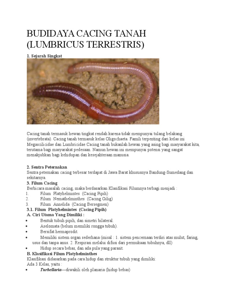 Budidaya Cacing Tanah | PDF