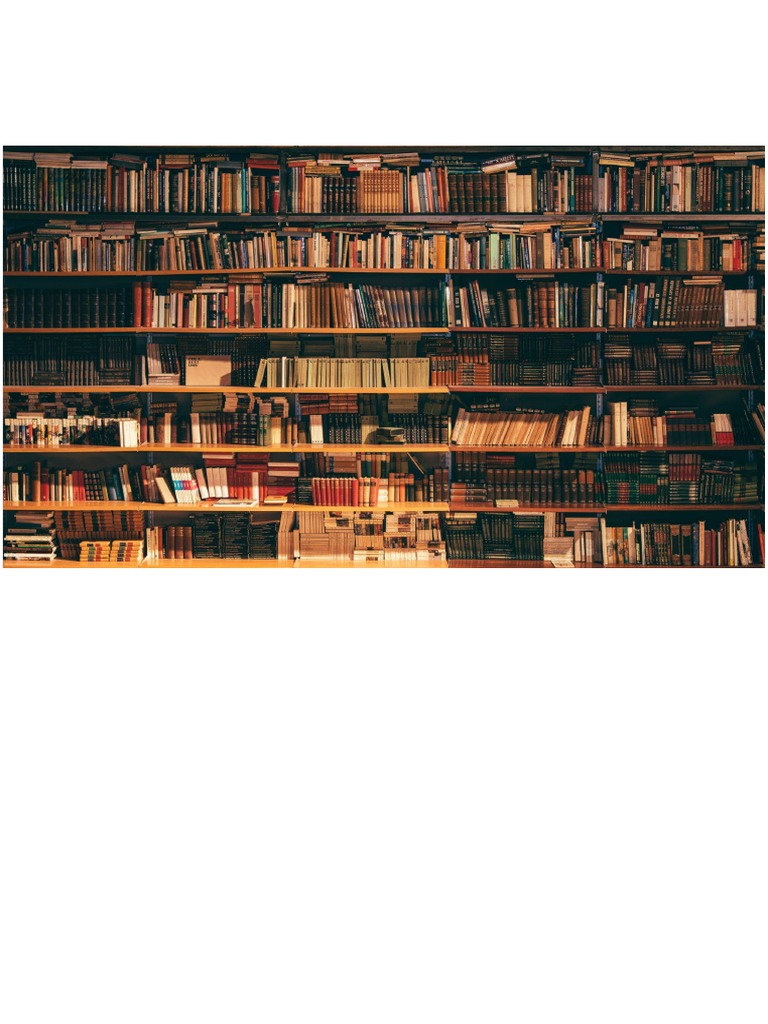 Library Management System | PDF | Libraries | Library (Computing)