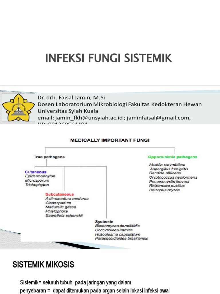 Infeksi Jamur Sistemik | PDF