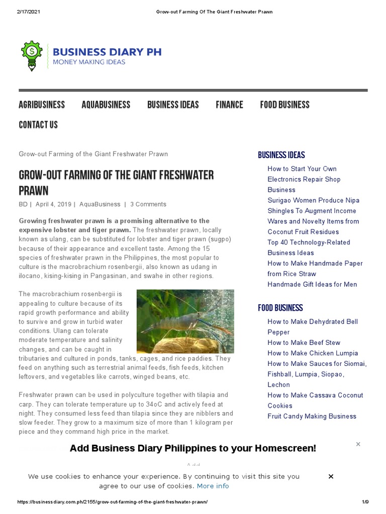 Grow-Out Farming of The Giant Freshwater Prawn | PDF | Pond | Agriculture
