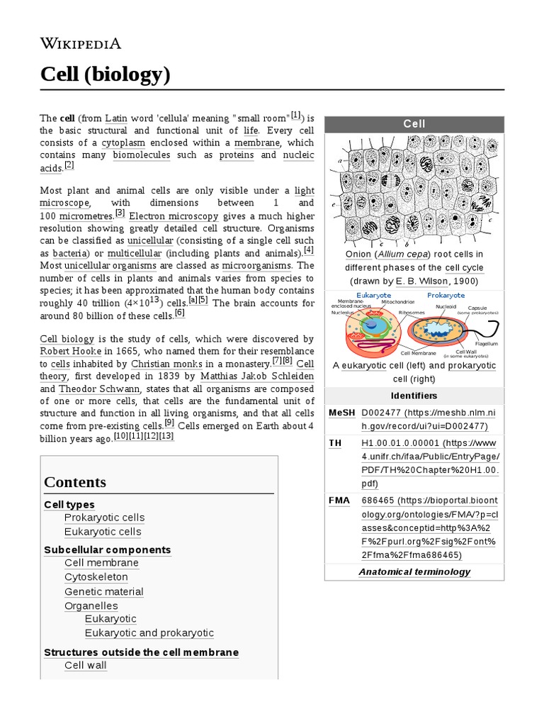 Cell (Biology) | PDF | Cell (Biology) | Cell Nucleus