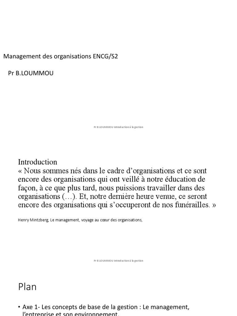 Introduction à la Gestion des Organisations | PDF | Innovation | Business