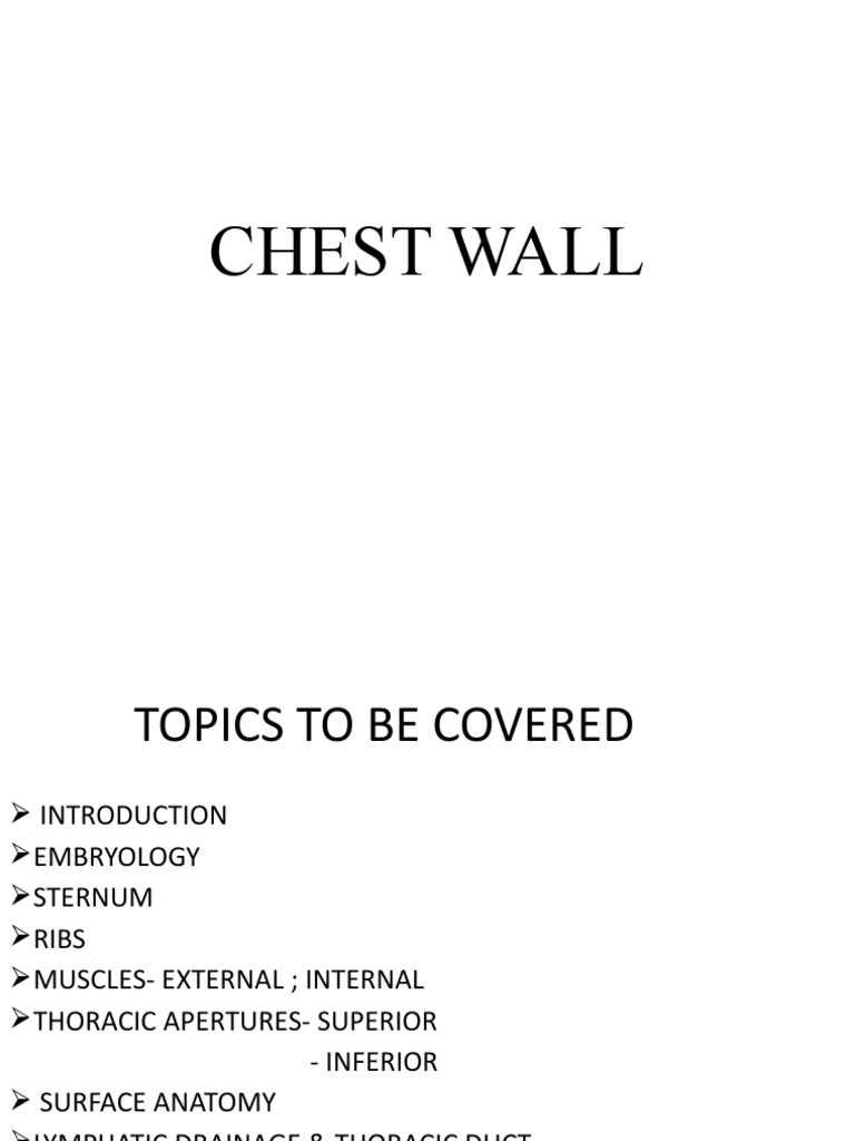 Chest Wall | PDF | Thorax | Aorta