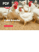 Ross308 308FF BroilerPO2019 en | PDF | Broiler | Birds