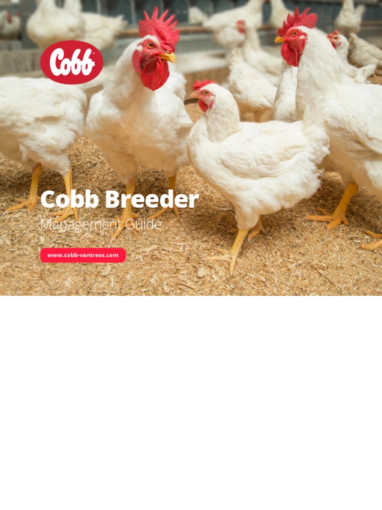 2021 Breeder-Management-Guide Cobb-Vantress (001-040) | PDF | Avian ...