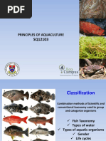 Fish Pond Design and Construction Guide | PDF | Pond | Drainage