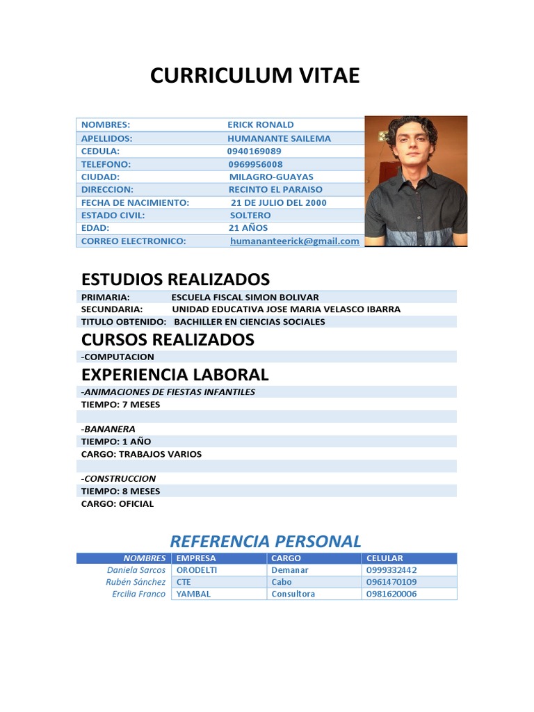 Curriculum Erick H | PDF | Ciencias sociales