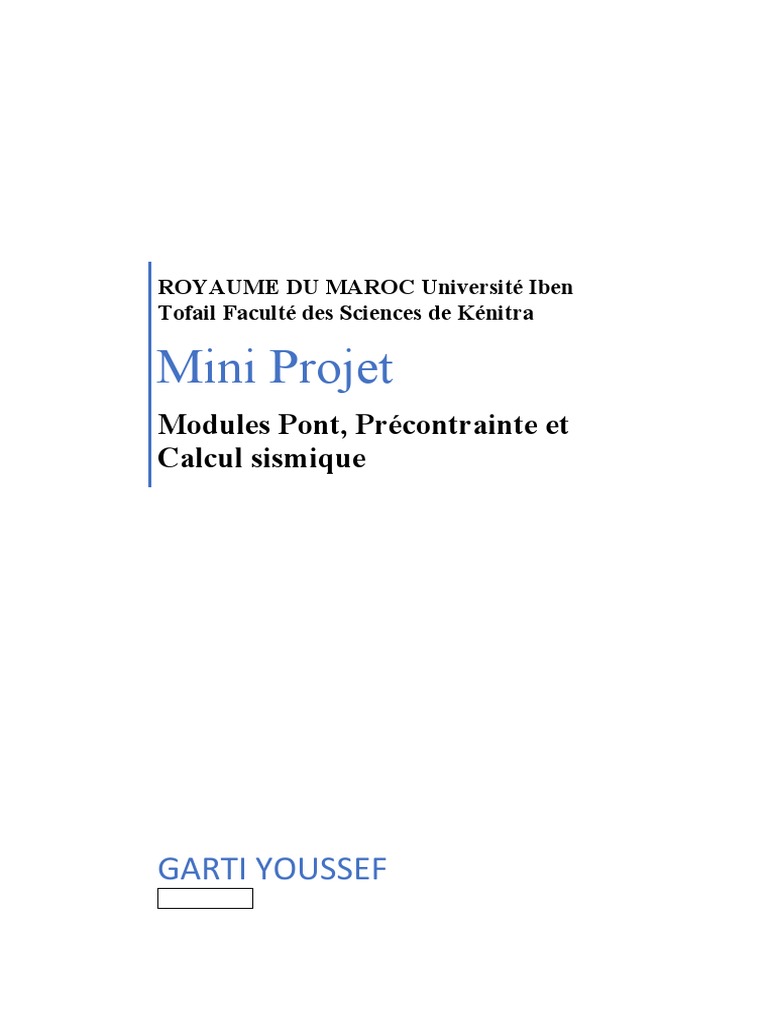 Min Projet | PDF | Pont | Mécanique du solide