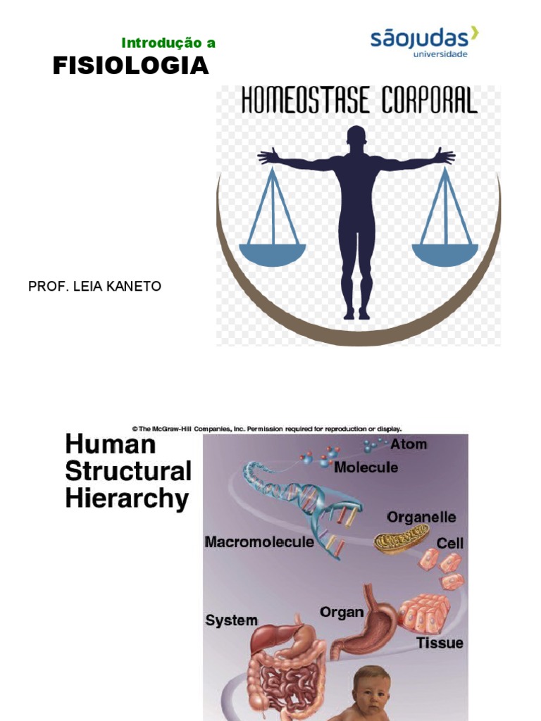 Introdução A Fisiologia Homeostase | PDF | Corpo Humano | Homeostase