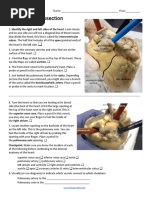 Sheep Heart Dissection Lab Guide | PDF