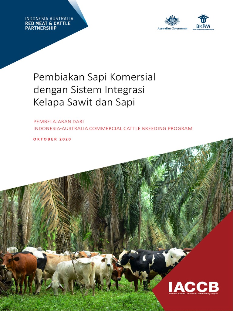 SISKA - Pembiakan Sapi Dengan Integrasi Sawit | PDF