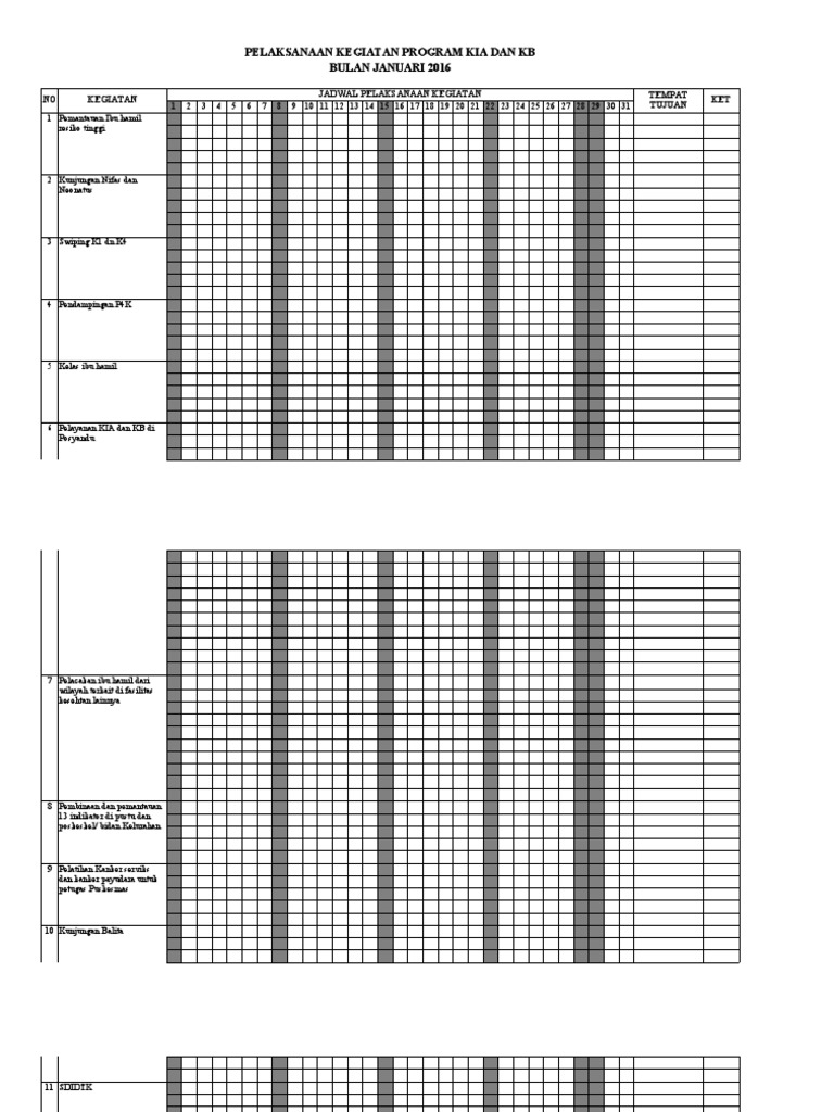 Pelaksanaan Kegiatan Kia KB | PDF