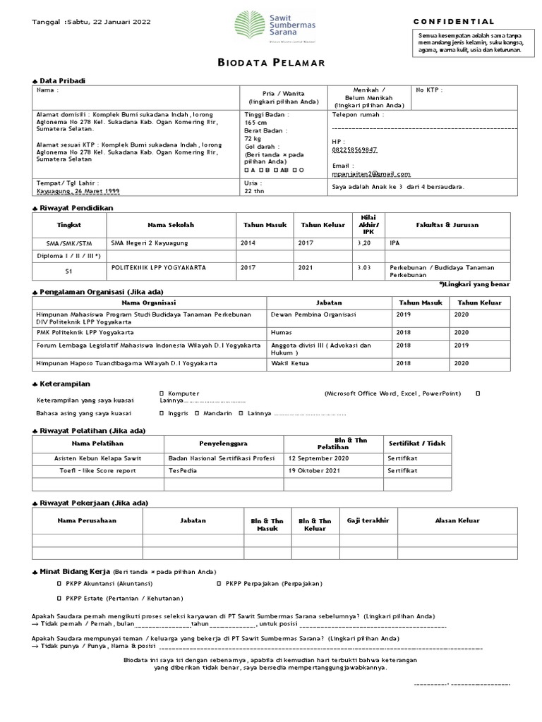 Biodata Pelamar Kerja 2022 | PDF