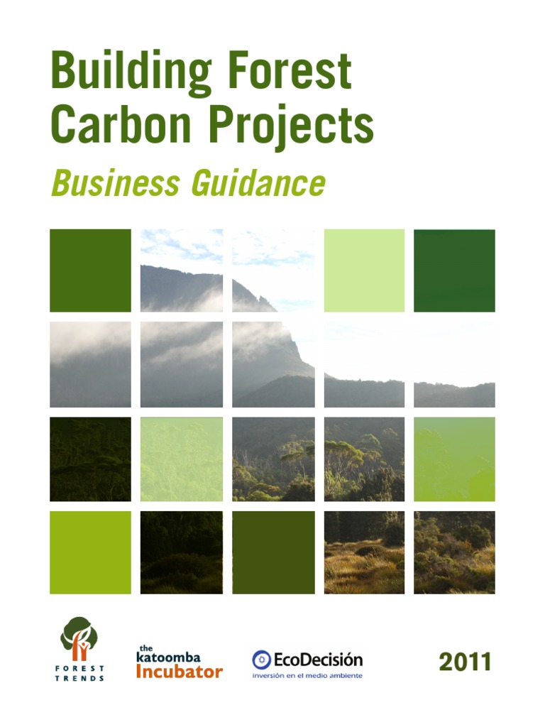 Building Forest Carbon Projects Business Guidance 9-13-11 PDF | PDF ...