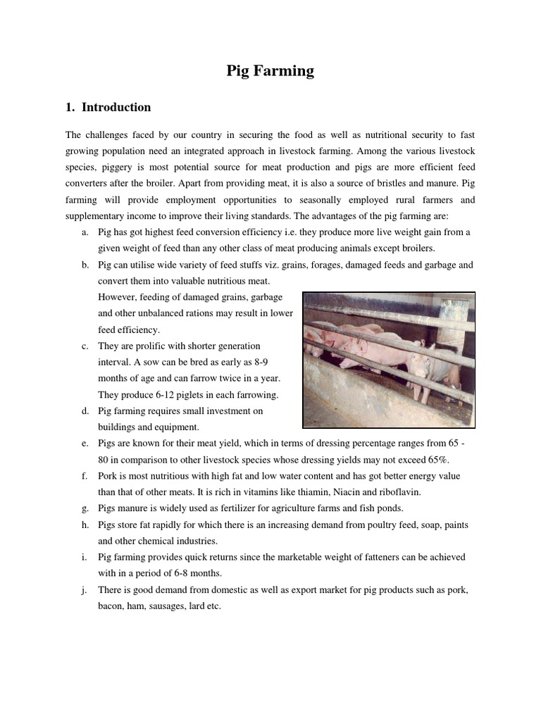 Piggery Farming | Download Free PDF | Pork | Agriculture
