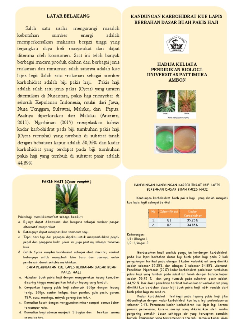 Baru Leaflet Pakis Haji | PDF