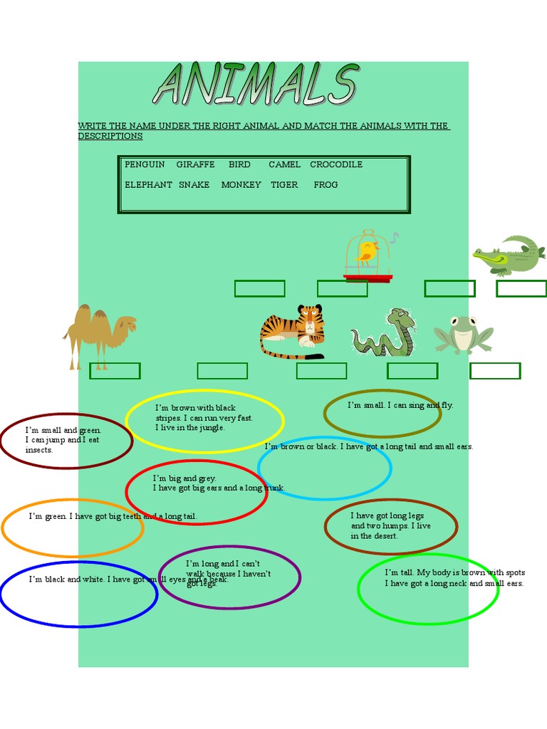 Animals Fun Activities Games - 990 | PDF